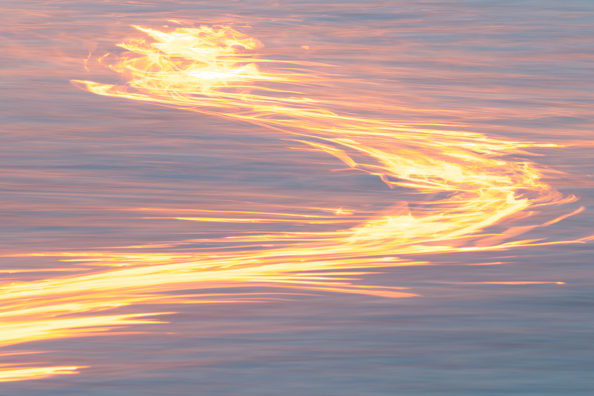 Portfolio – Shuichiro Kawasaki Photography